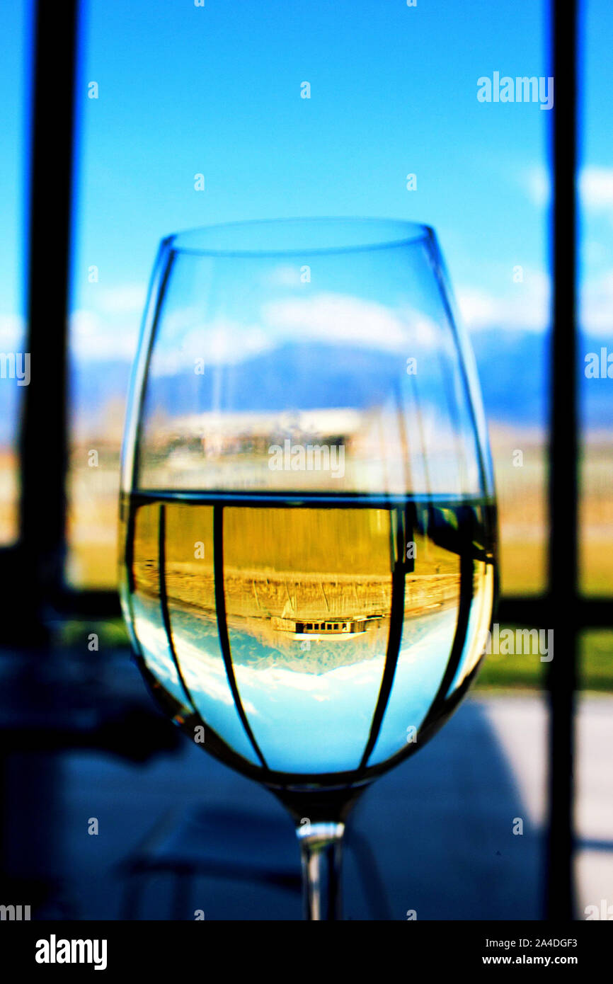 Glass of wine and vineyard hi-res stock photography and images - Alamy
