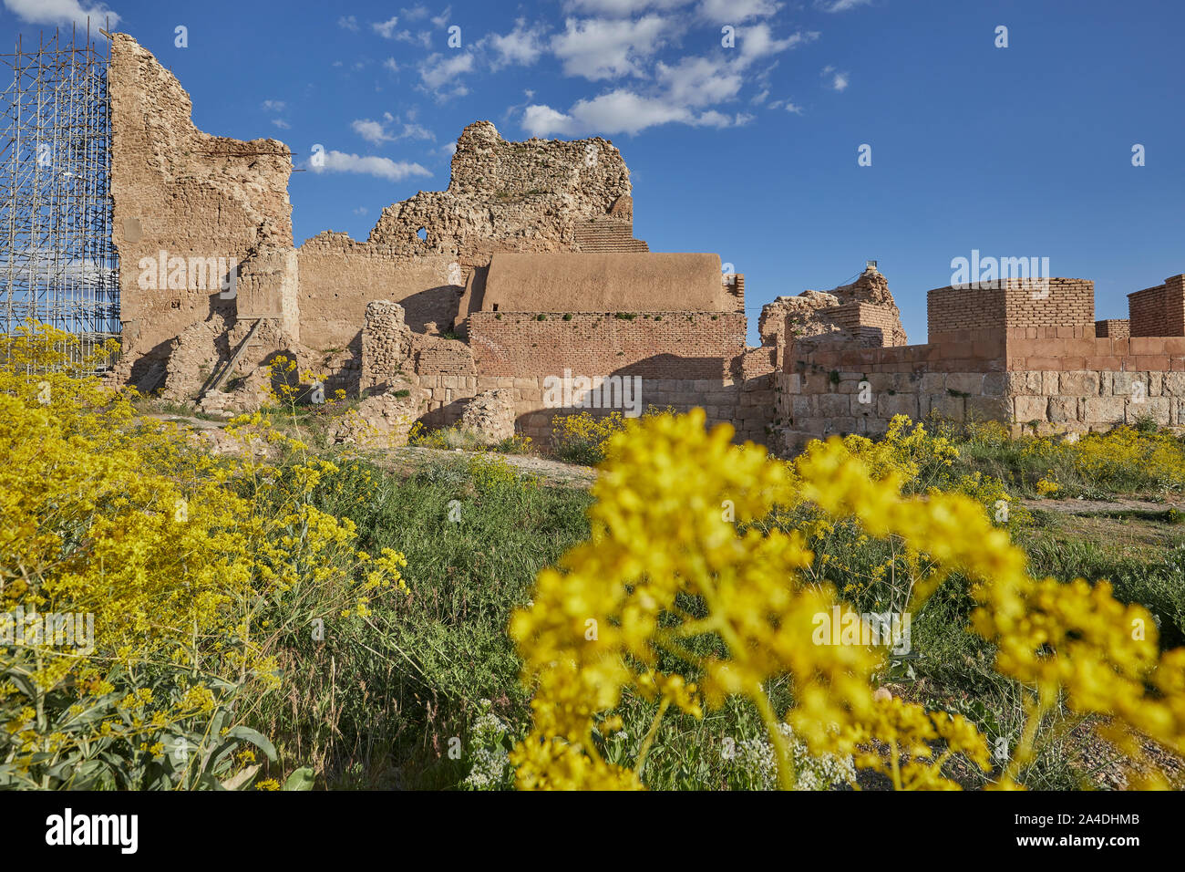 Iranian sights hi-res stock photography and images - Alamy