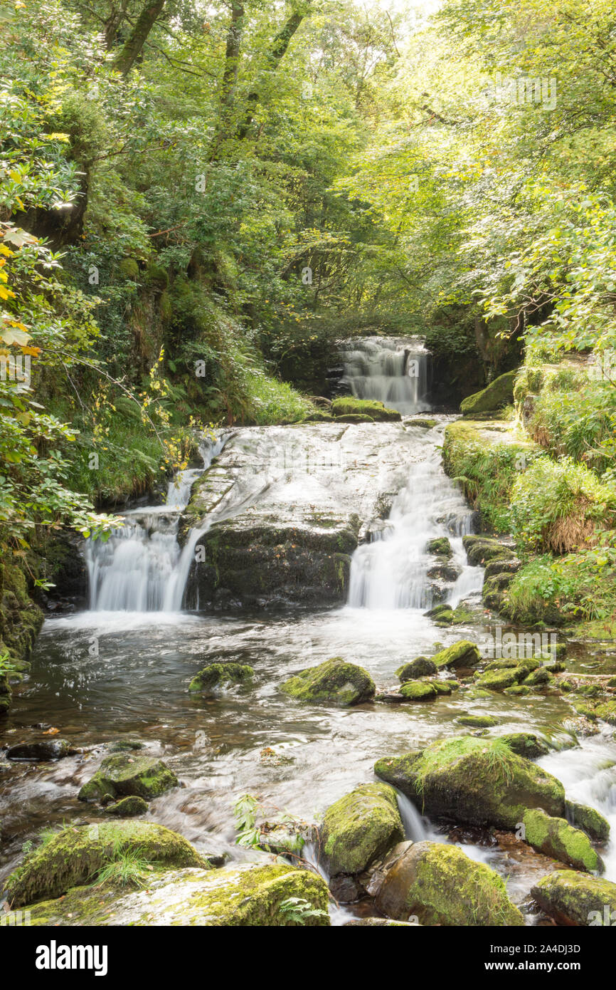 Waterfalls on Hoar Oak Water at Watersmeet, Lynmouth, Devon, September ...