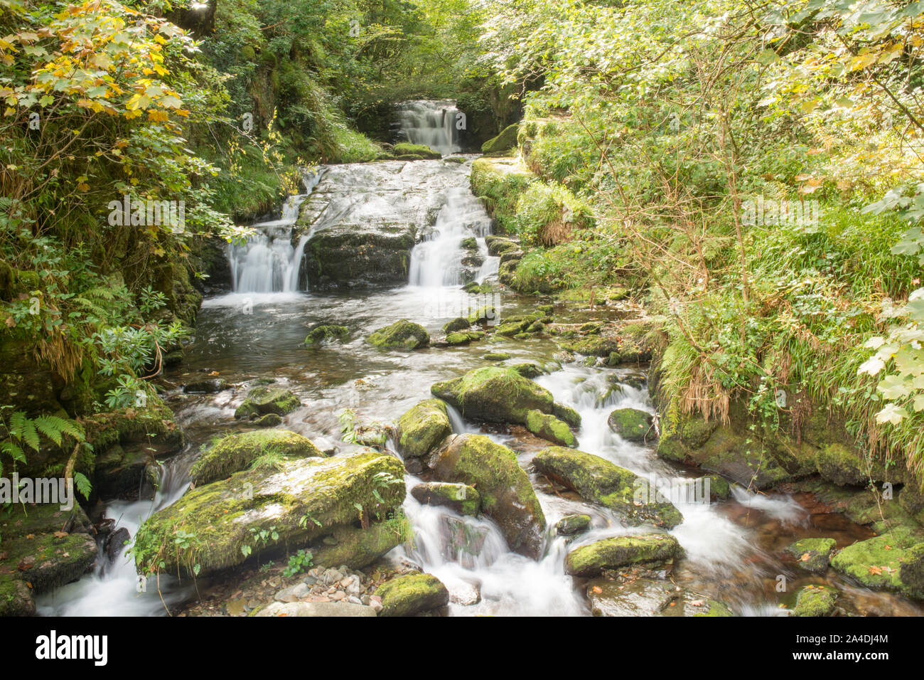 Waterfalls on Hoar Oak Water at Watersmeet, Lynmouth, Devon, September ...