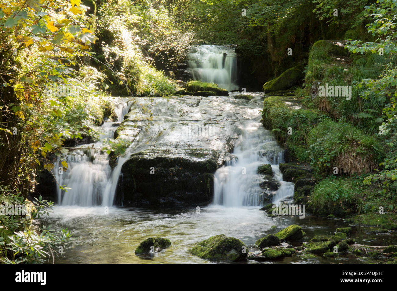 Waterfalls on Hoar Oak Water at Watersmeet, Lynmouth, Devon, September ...