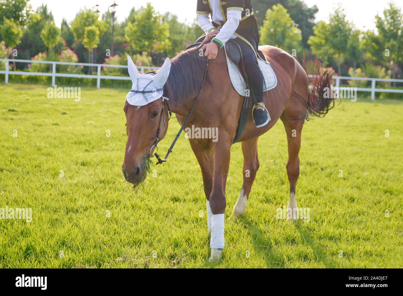 Handsome cowboy riding hi-res stock photography and images - Alamy