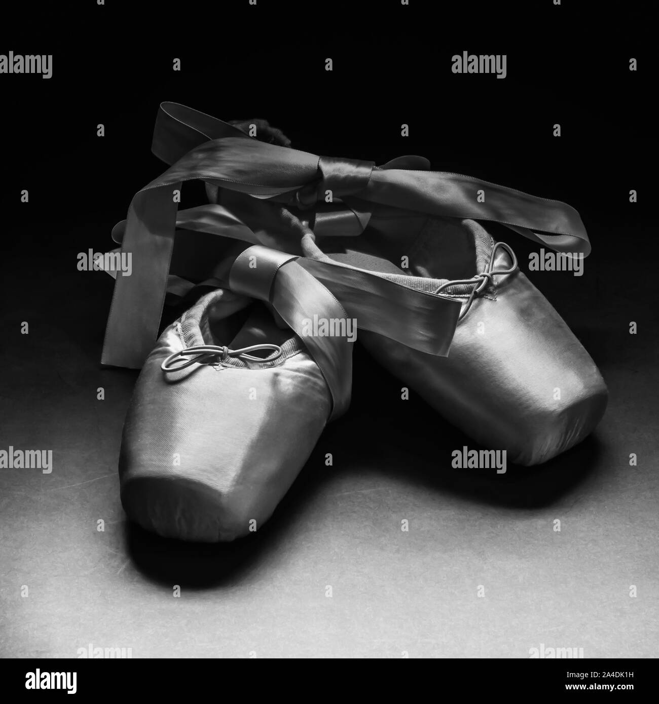 Hanging Pointe Shoes Black And White