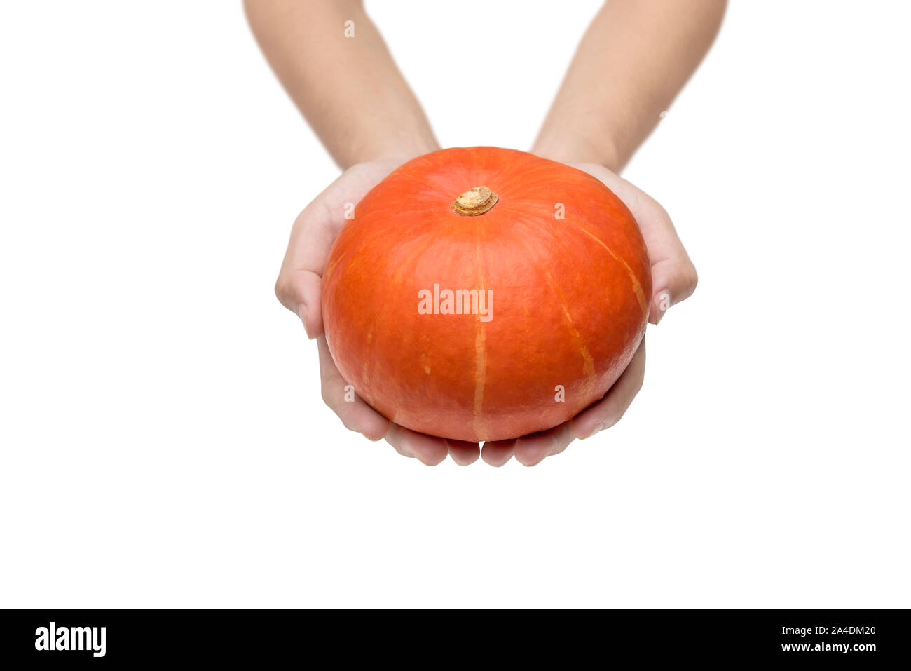 Hands holding pumpkin isolated over white background Stock Photo - Alamy