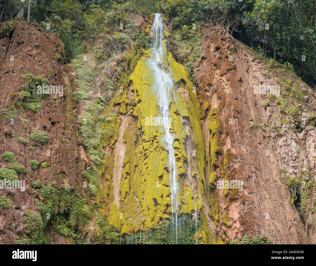 Close up of the wonderful El Limon tropical waterfall with lots of moss ...