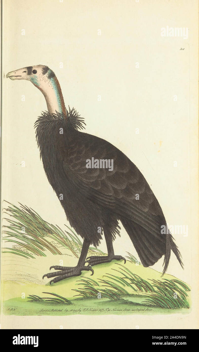 Species description hi-res stock photography and images - Alamy