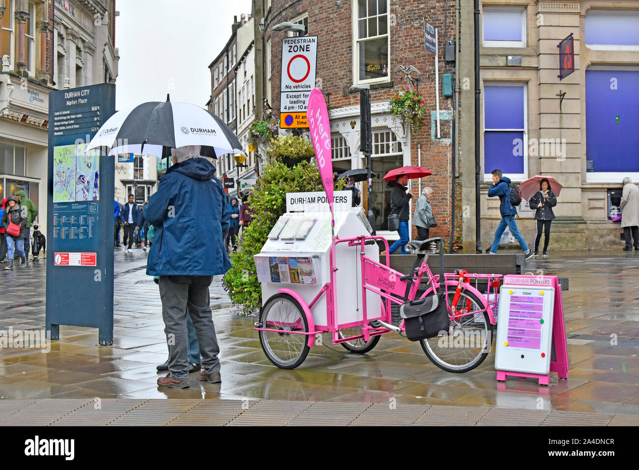 Durham pointers hi-res stock photography and images - Alamy