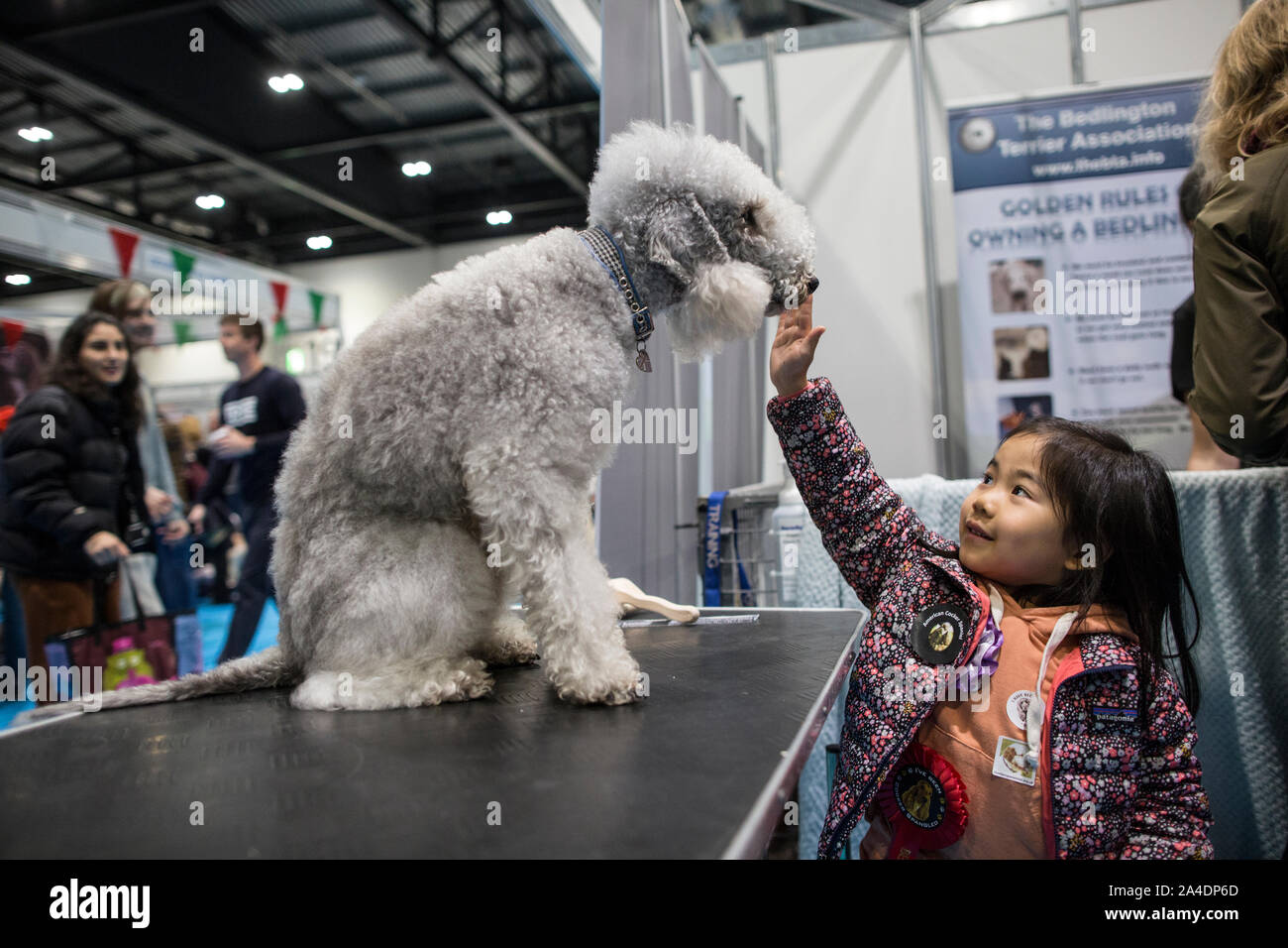 The Kennel Club Discovery Dogs exhibition at Excel London, UK. Picture ...