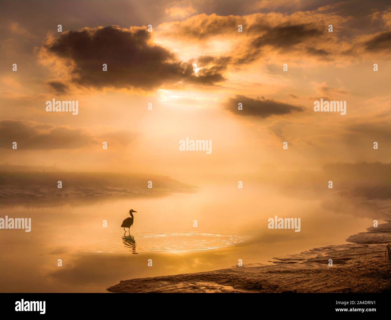 Moods of nature hi-res stock photography and images - Alamy
