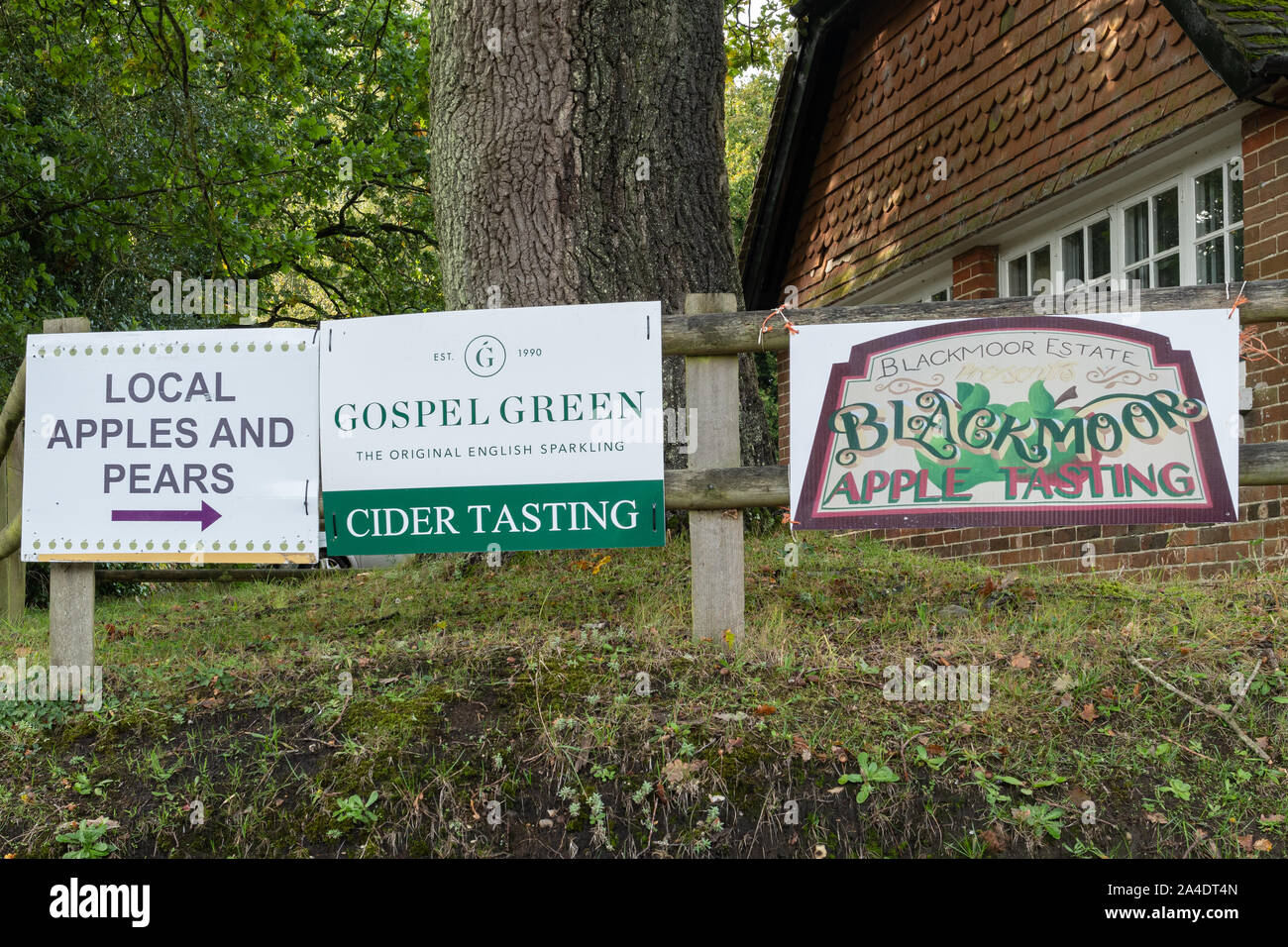Signs for Blackmoor Apple Tasting Day, an annual village event taking ...