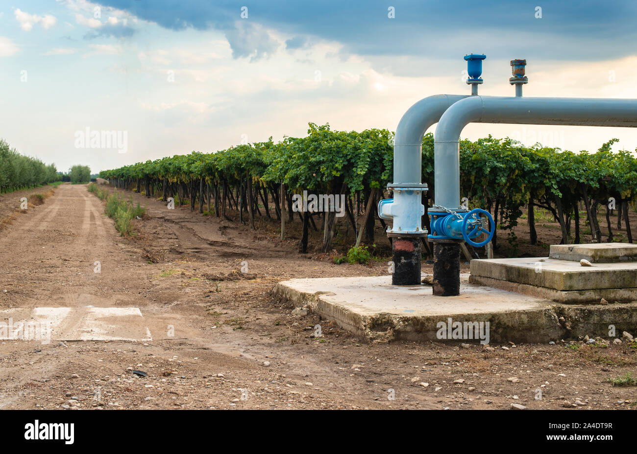 Vineyard watering hi-res stock photography and images - Alamy
