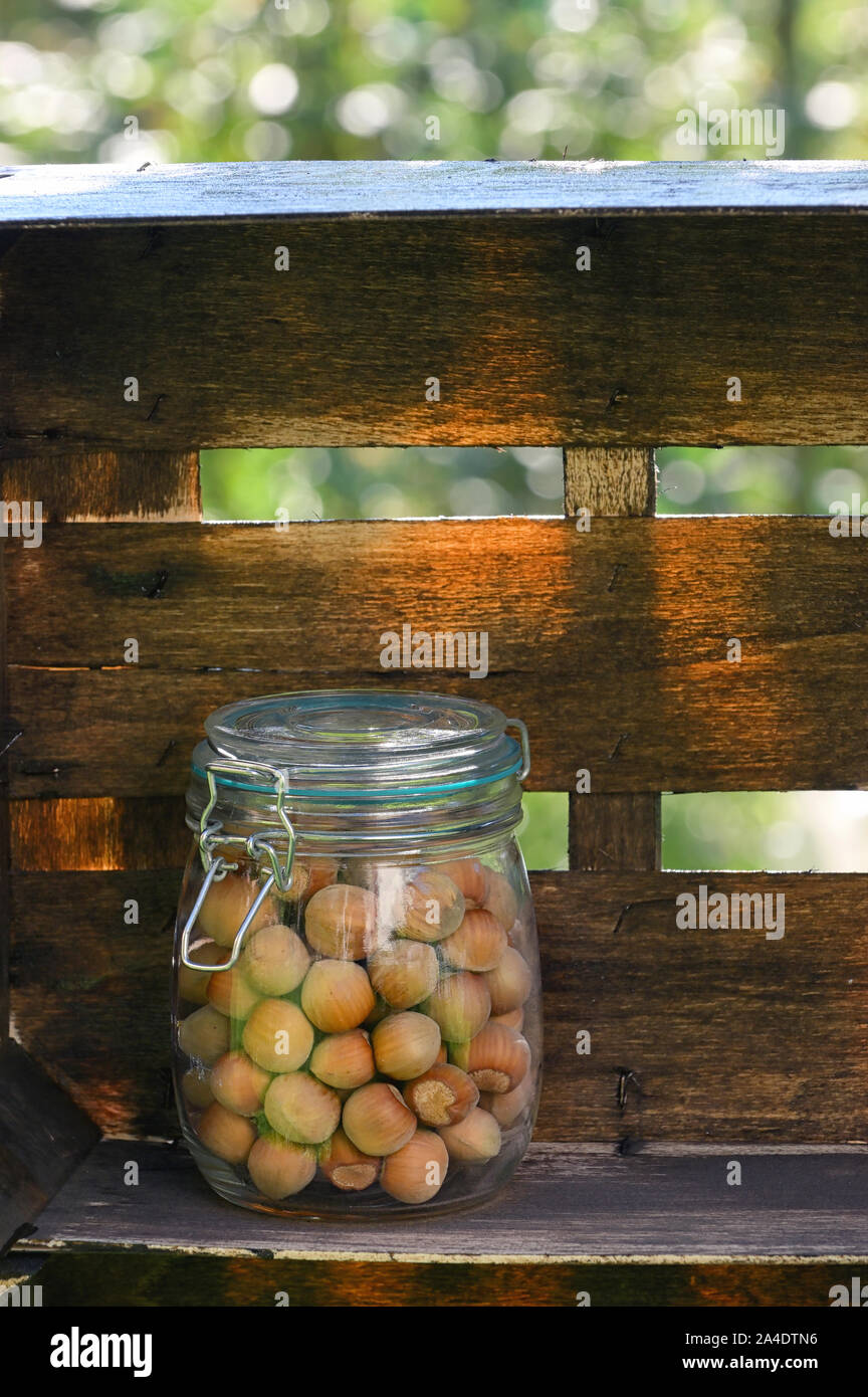 Organic hazelnuts in jar hi-res stock photography and images - Alamy