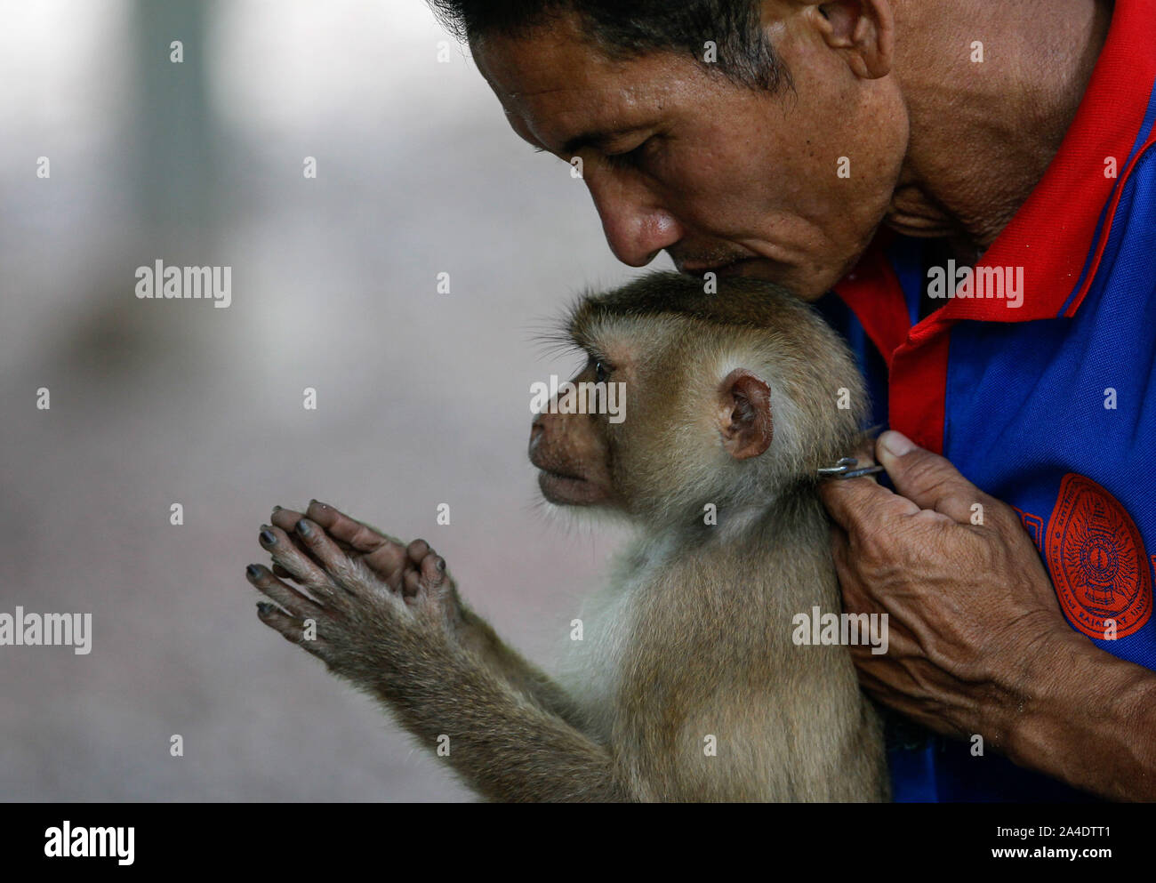 Niran Wongvanit poses with his monkey after training it to collect ...