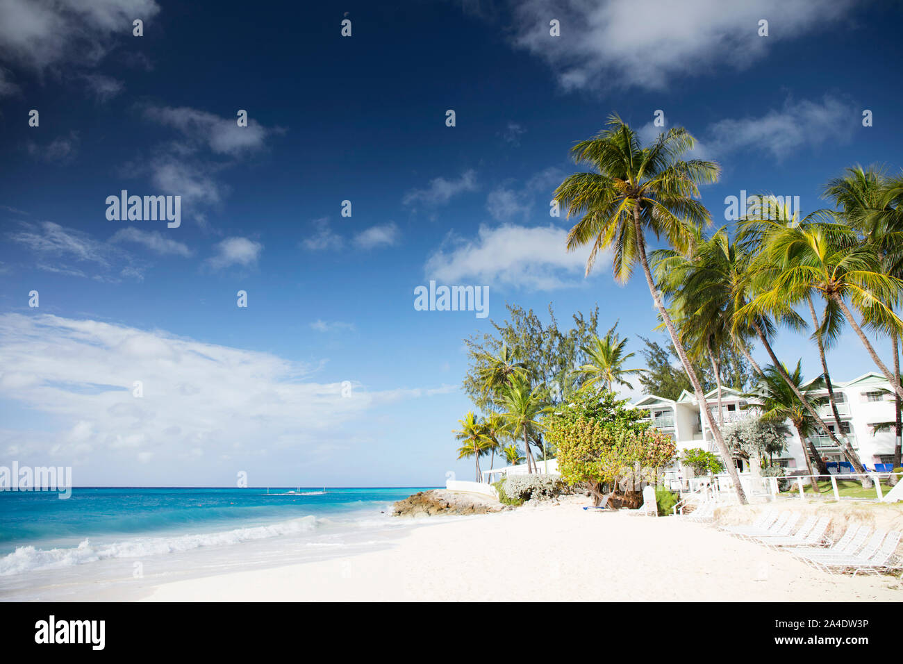 Summer on Barbados Island. Exotic vacations. Palm trees. Turquoise ...