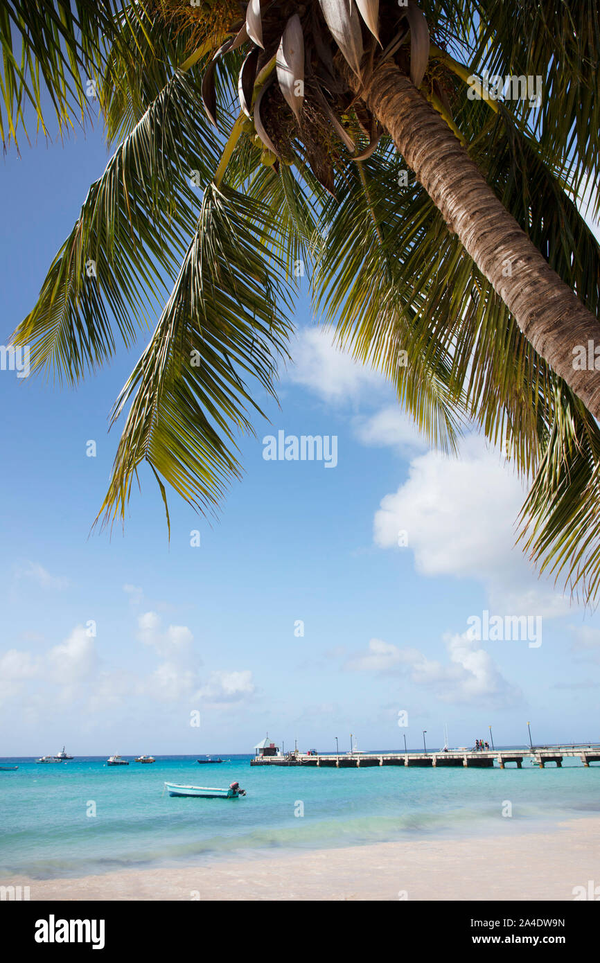 Summer on Barbados Island. Exotic vacations. Palm trees. Turquoise ...