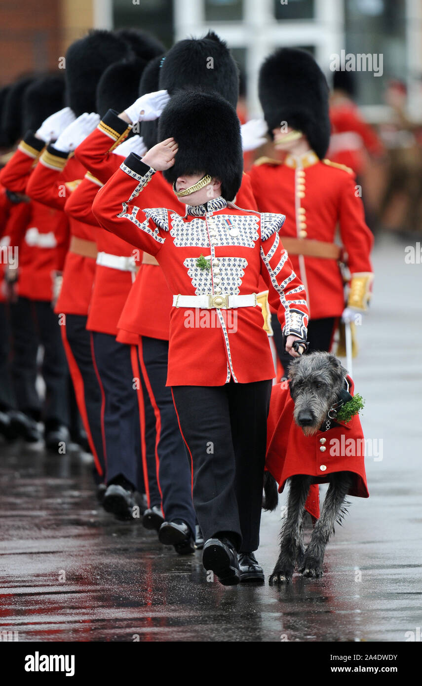 Photo Must Be Credited ©Kate Green/Alpha Press 077017 17/03/2013 1st ...