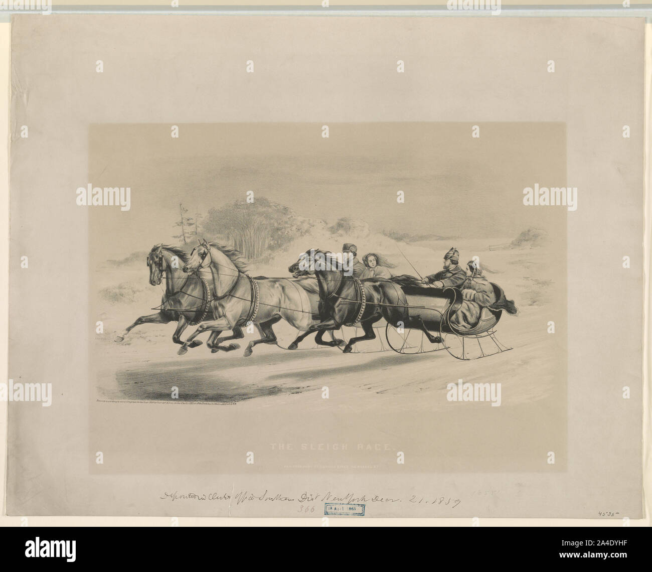 Horse sleigh race hi-res stock photography and images - Alamy