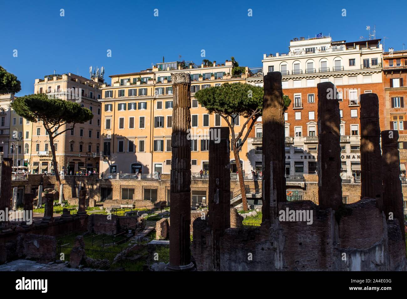 ARCHAEOLOGICAL DIG, LARGO DI TORRE ARGENTINA, ROME, ITALY, EUROPE Stock ...