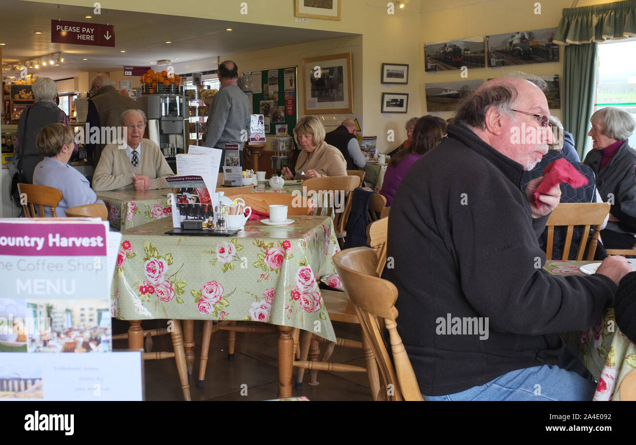 Older people in cafe Stock Photo - Alamy