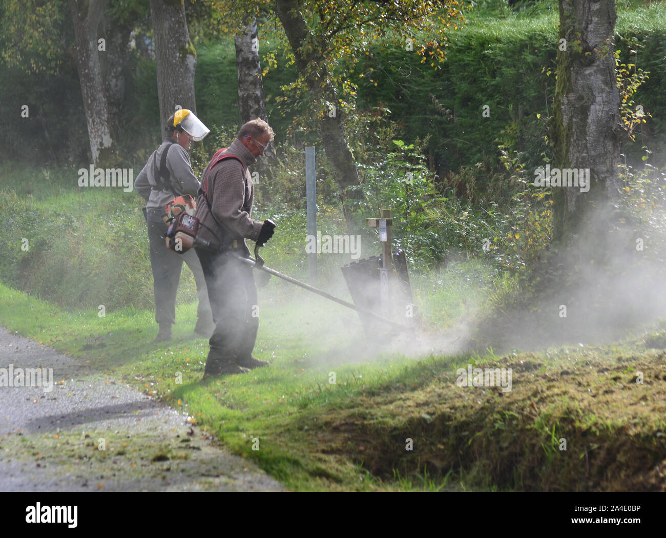 Strimming a grass verge Stock Photo - Alamy