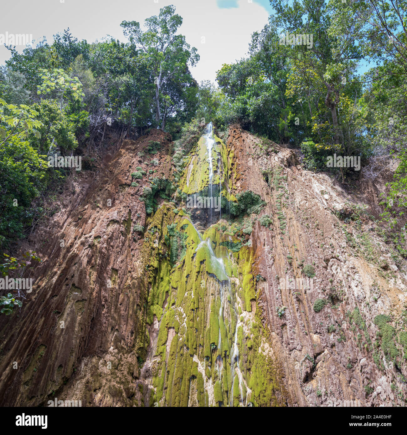 Close up of the wonderful El Limon tropical waterfall with lots of moss ...