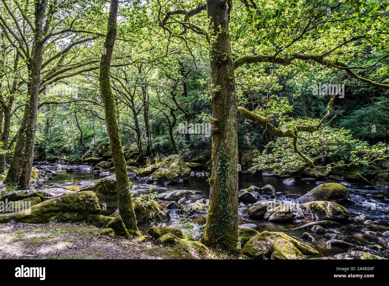 Painters path hi-res stock photography and images - Alamy