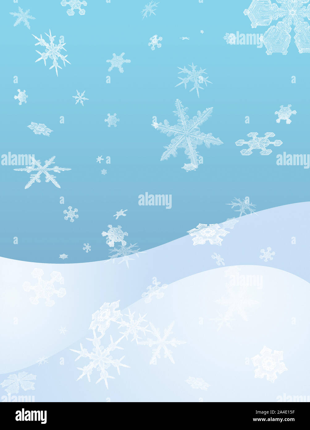Snowflakes. Winter theme. Artwork for creative graphic design Stock ...