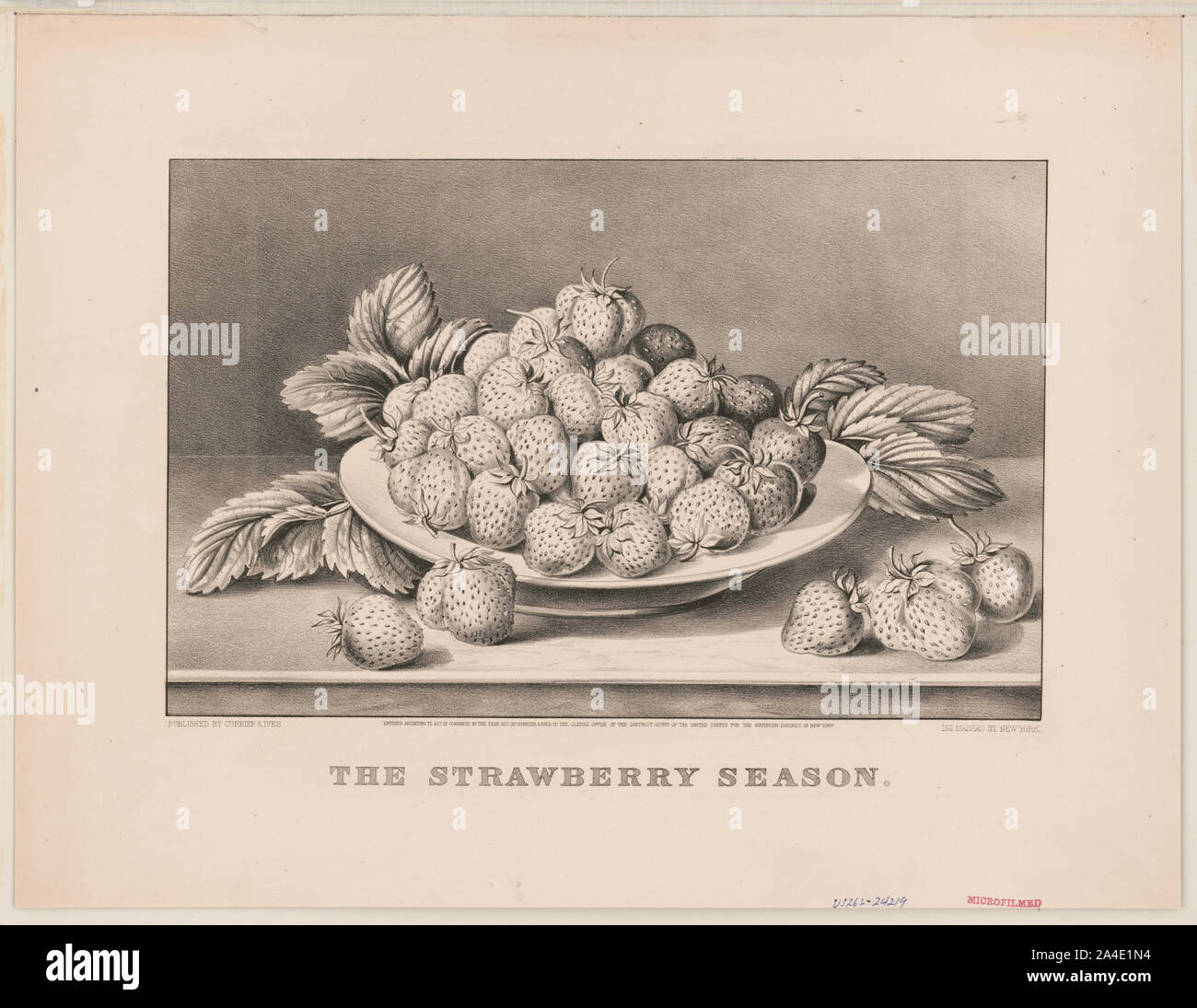 The strawberry season Stock Photo - Alamy