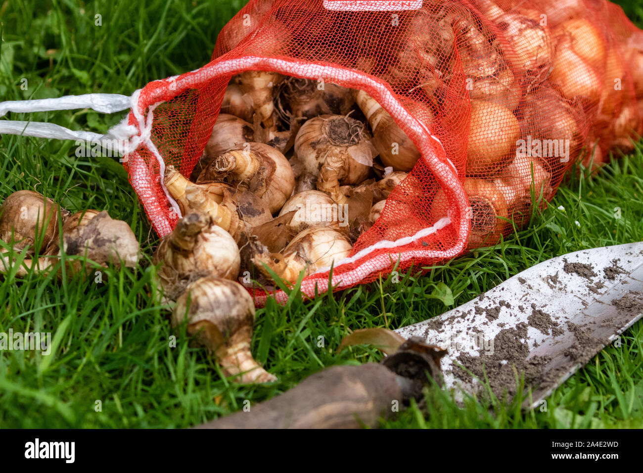 Netting scheme hi-res stock photography and images - Alamy
