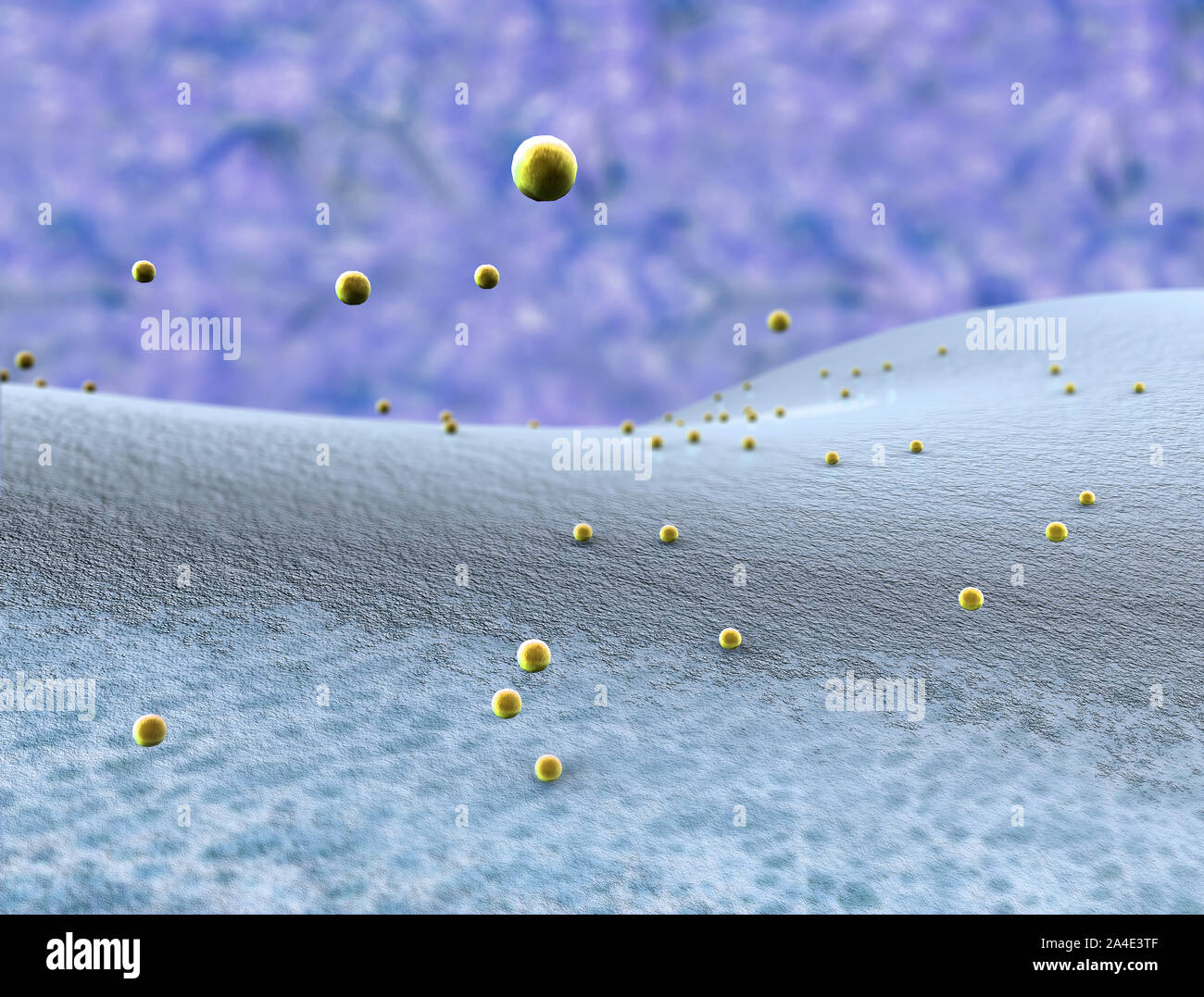 action of the human immune system, field of cells, macrophages attack ...