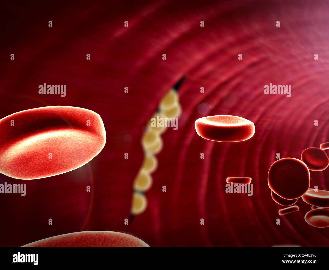 inside the blood vessel, High quality 3d render of blood cells ...