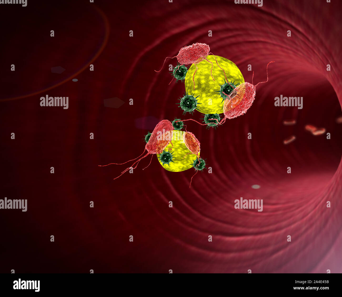 3D illustration of Human Immune System attack the virus, macrophage and ...
