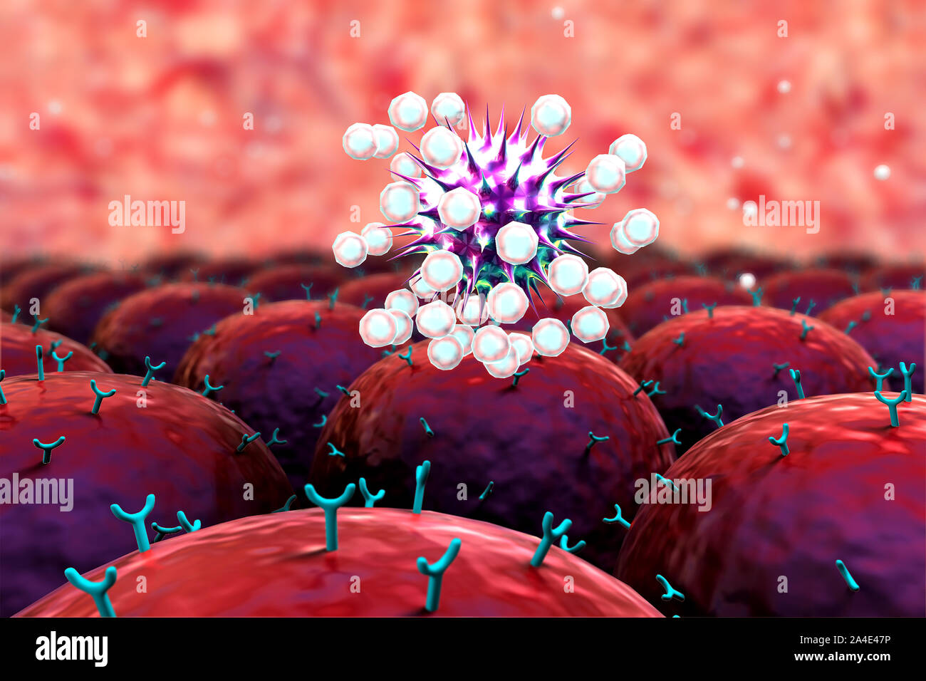 field of cells with receptors, Human Immune System attack the virus ...