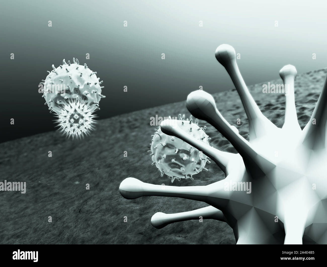 T-lymphocytes attack viruses, Cancer cell attacked by lymphocytes Stock ...