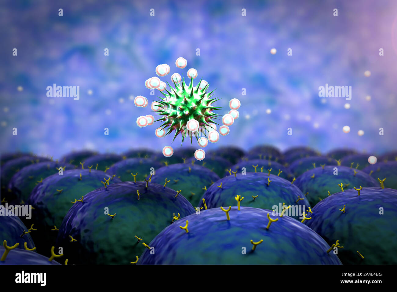 field of cells with receptors, Human Immune System attack the virus ...