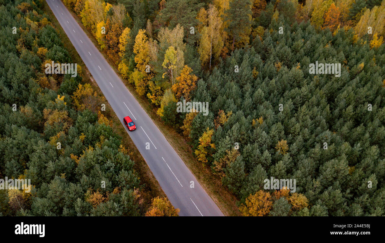 Car rides on forest road hi-res stock photography and images - Alamy