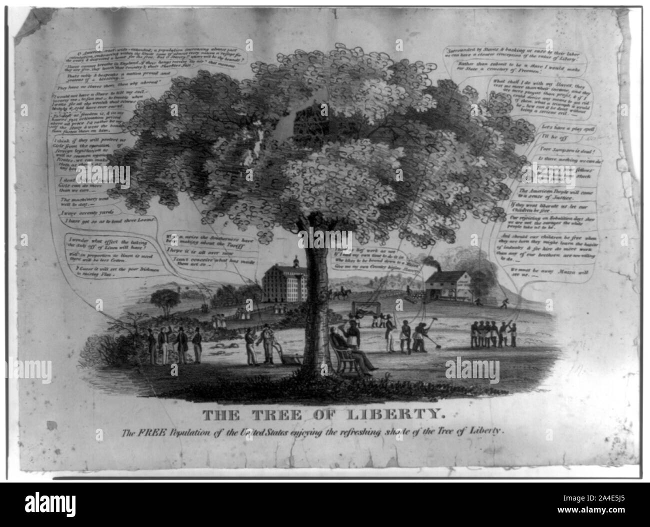 The tree of liberty. The free population of the United States enjoying ...
