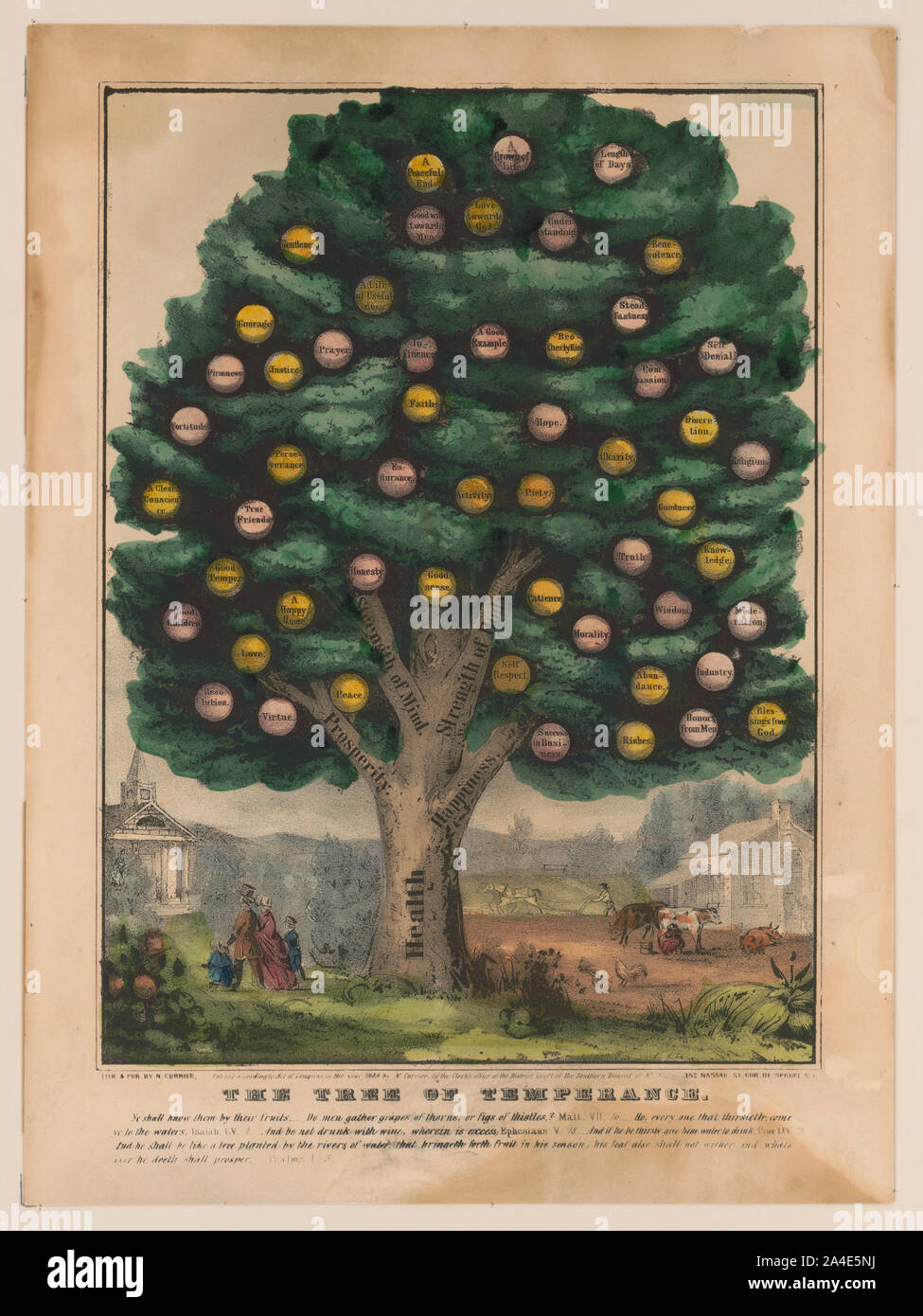 The tree of temperance Stock Photo - Alamy