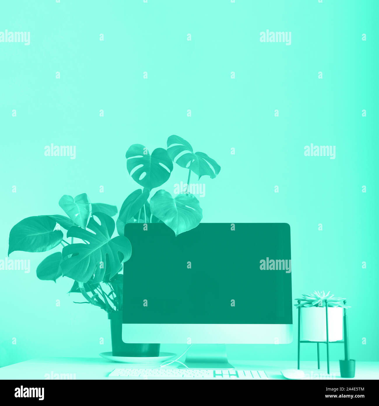 Keyboard, mouse, computer display with black blank screen. Trendy green ...