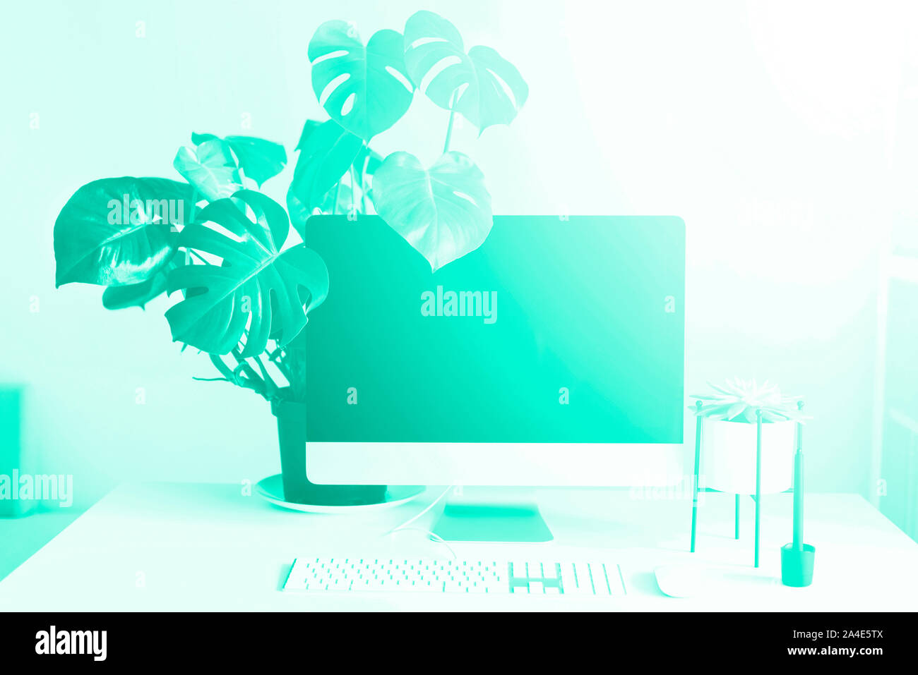 Keyboard, mouse, computer display with black blank screen. Trendy green ...