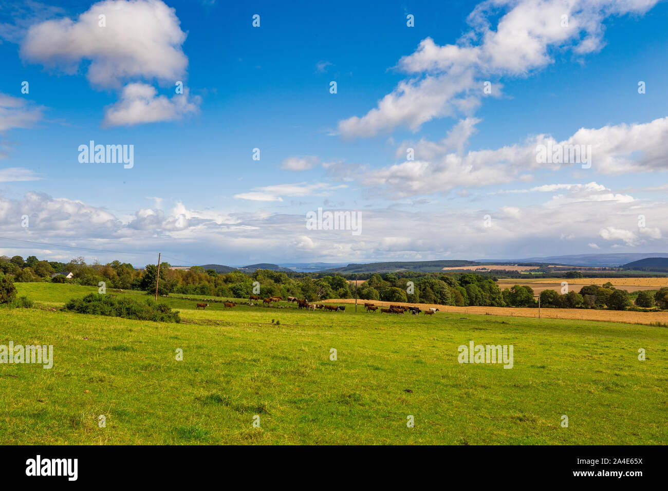 View of countryside at Muir of Ord, Scotland Stock Photo - Alamy