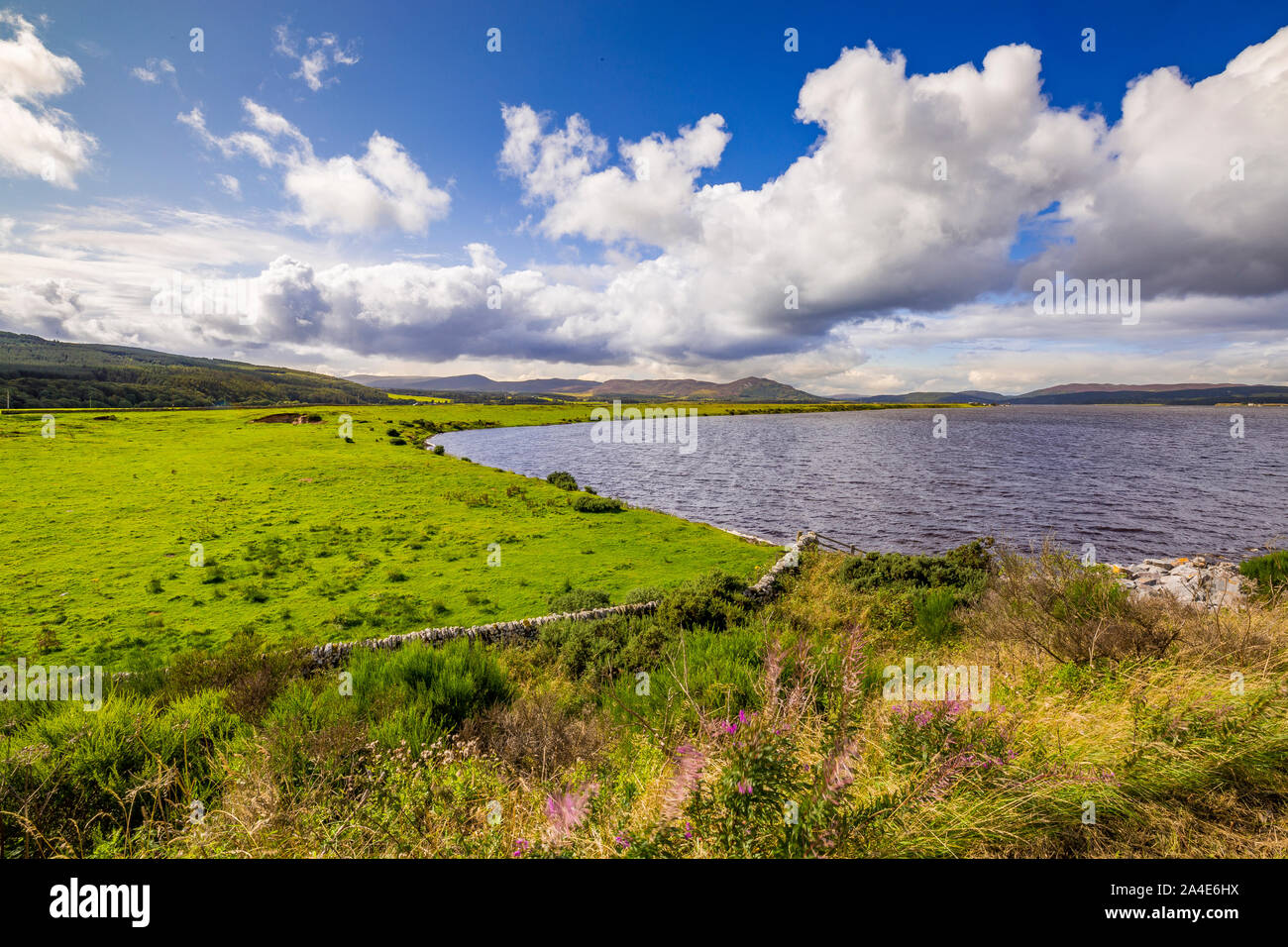 Tain scotland hi-res stock photography and images - Alamy