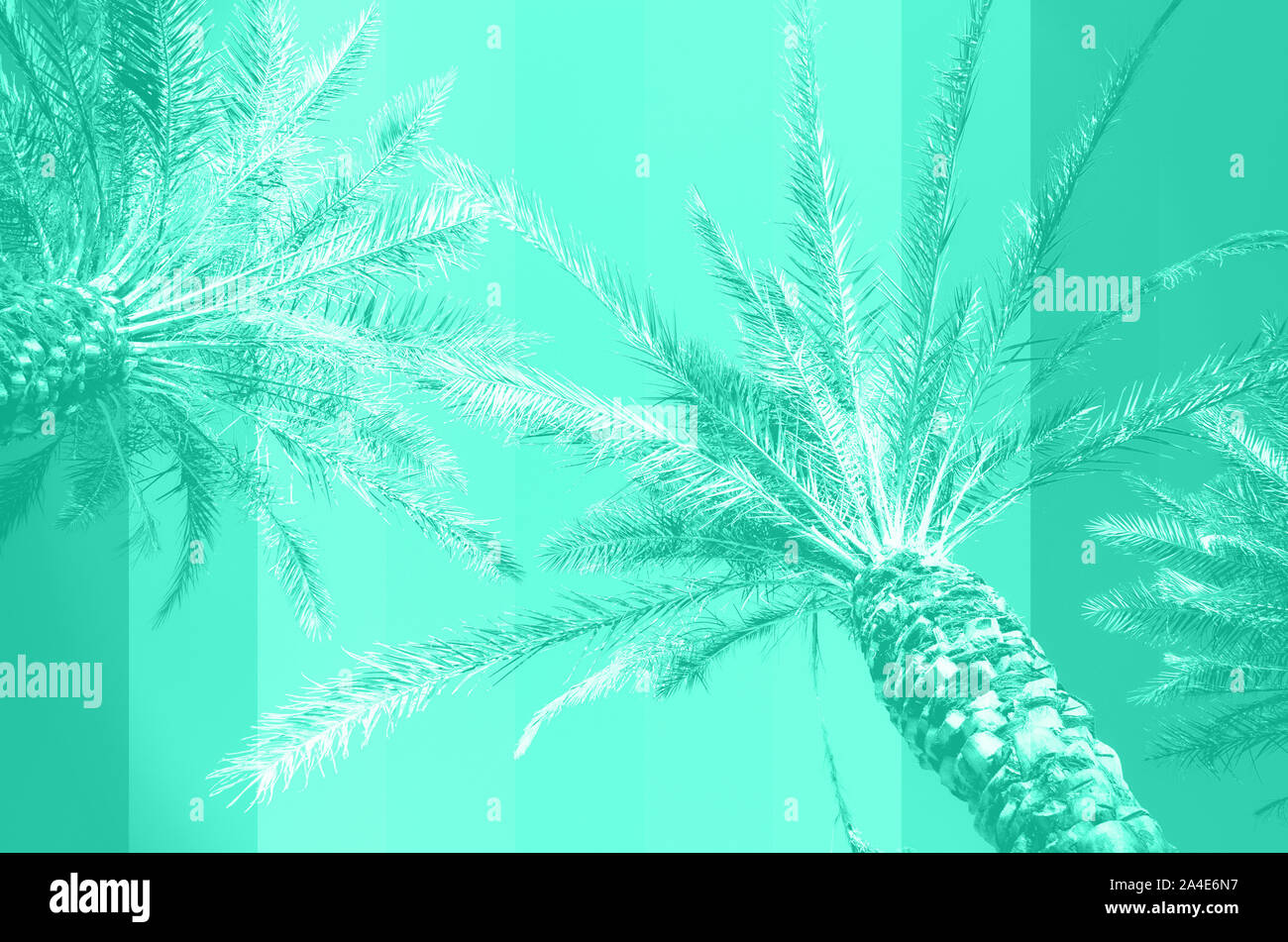 Stylized neon landscape hi-res stock photography and images - Alamy