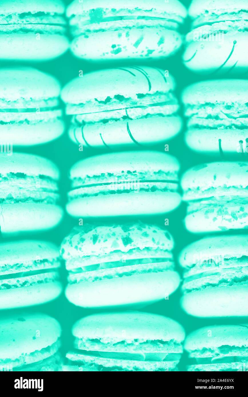 Colorful french macaroons flat lay. Pastel colors macarons on mint ...