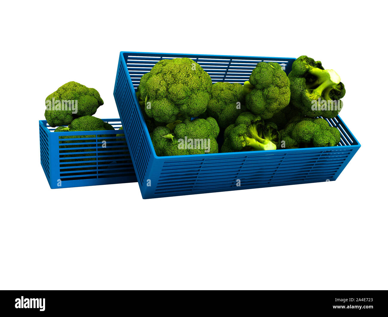 Blue two plastic box with broccoli 3d render on white background no ...