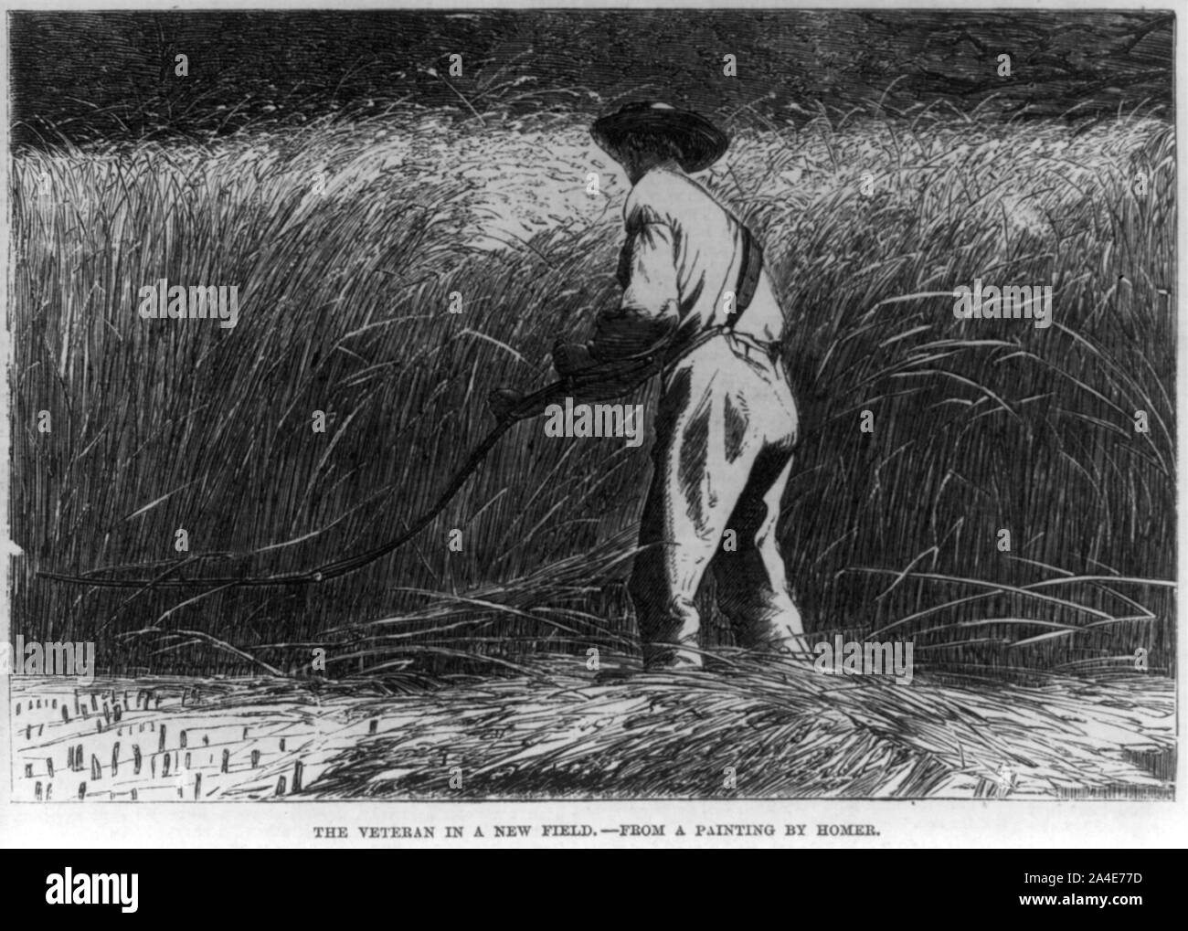 Field switch Black and White Stock Photos & Images - Alamy