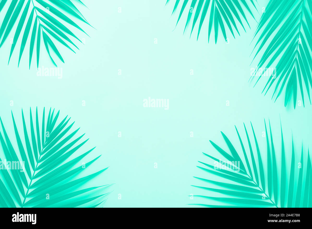 Tropical palm leaves on mint color background. Minimal summer concept ...
