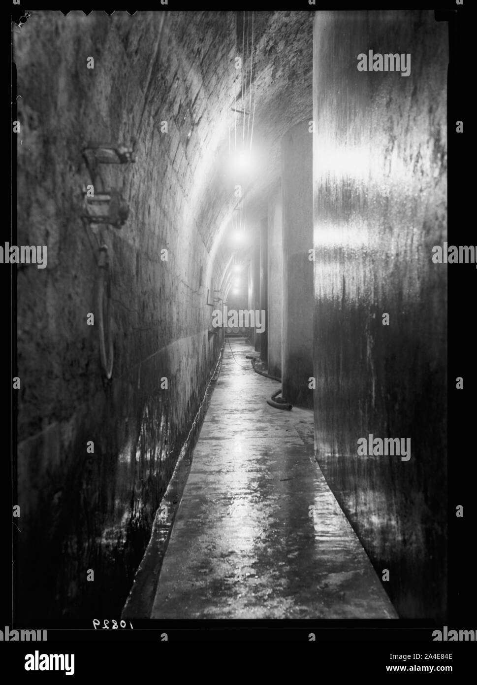 The vintage season Zikh'ron Ya'aqov, July 24, 1939. Large underground ...