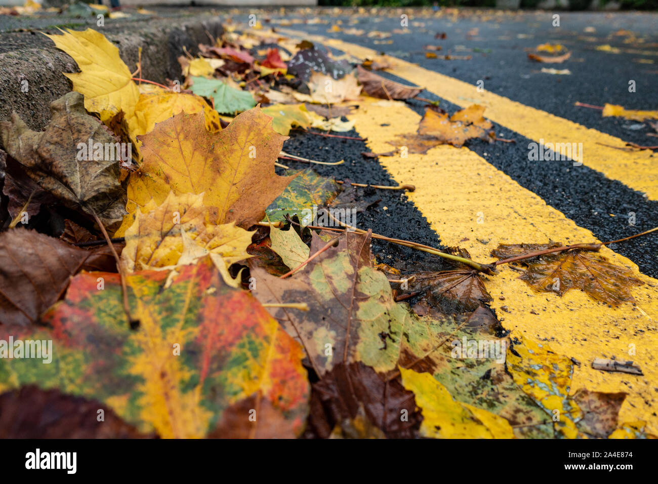 Curb litter hi-res stock photography and images - Alamy