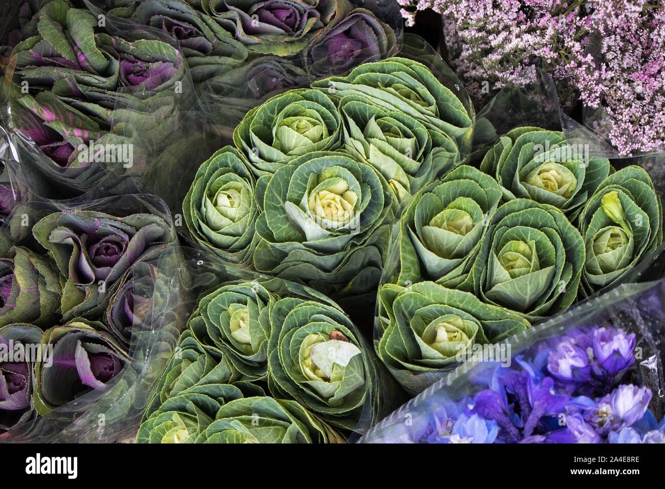 Bouquets of decorative cabbage in wedding bouquets, packed in ...